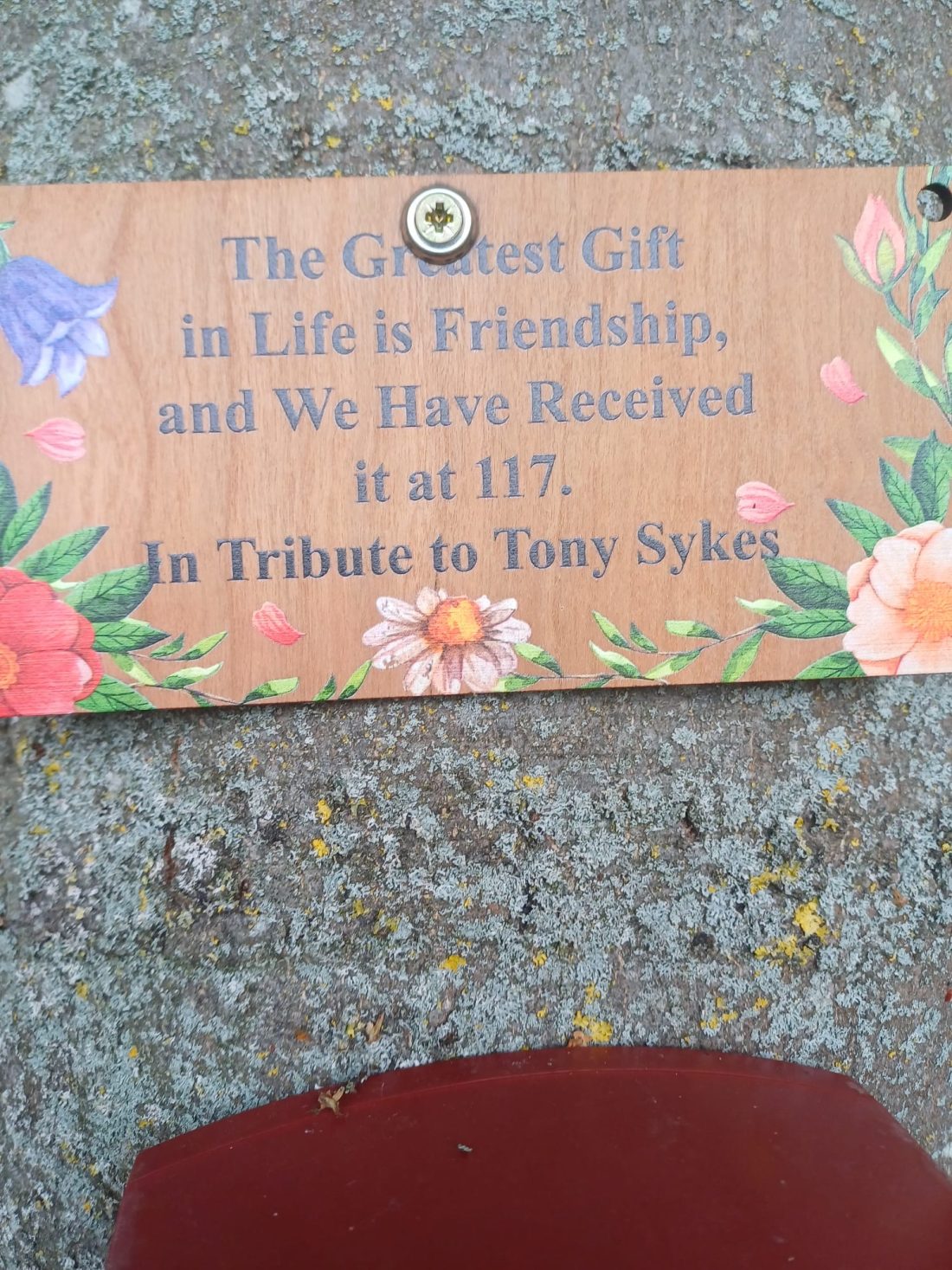 Plaque honours lifelong friendship at new ‘Memory Lane’ garden - Hft